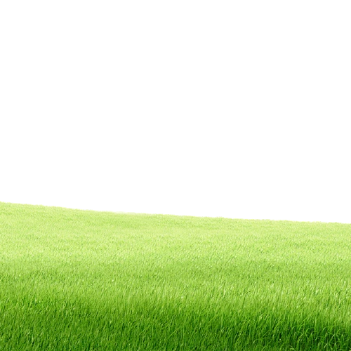 image-removebg-preview-花瓣网