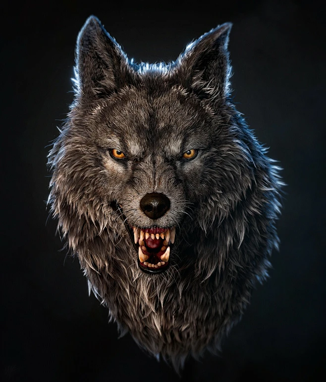 WOLF BREAKDOWN-花瓣网