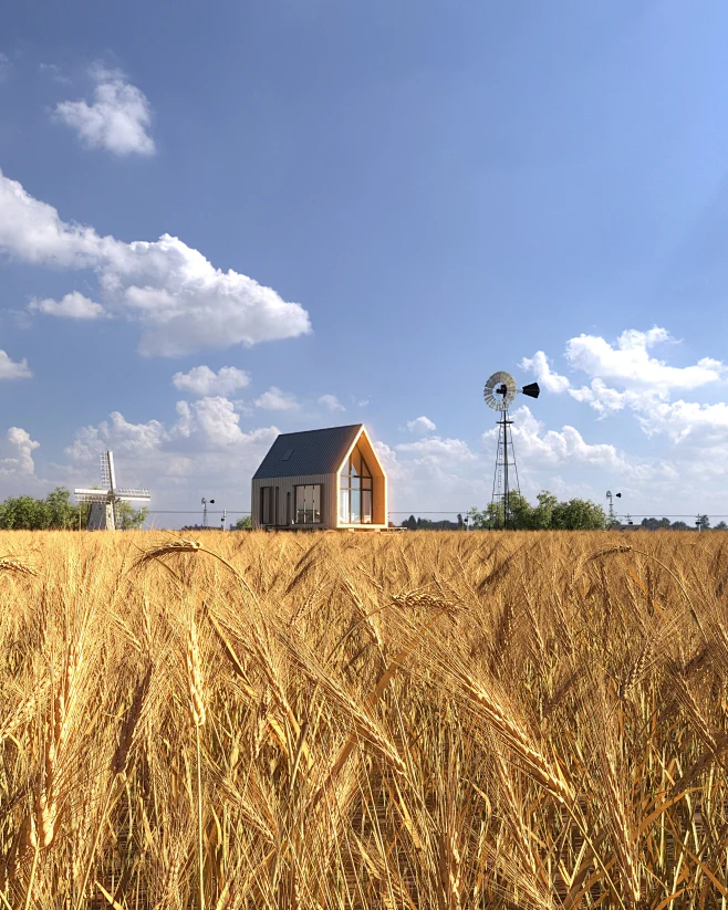 wheat houses-花瓣网