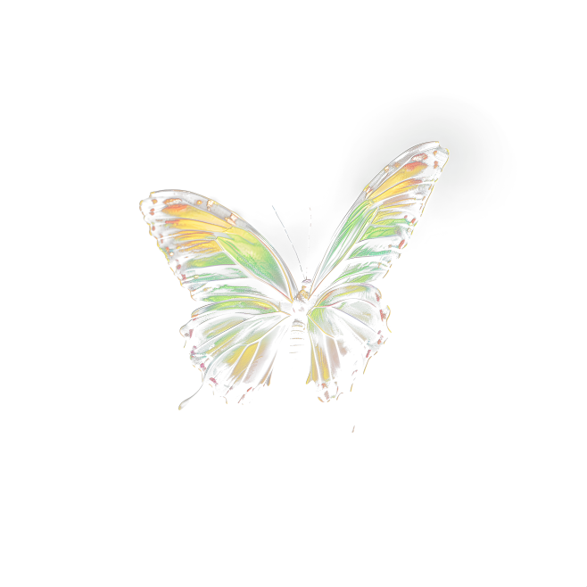 Realistic Butterfly Overlay_Walllow_06