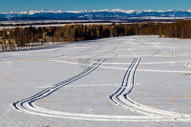 Snowmobile tracks in the snow. Springbank, Alberta