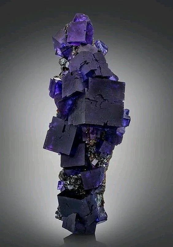 (26) Pinterest-花瓣网