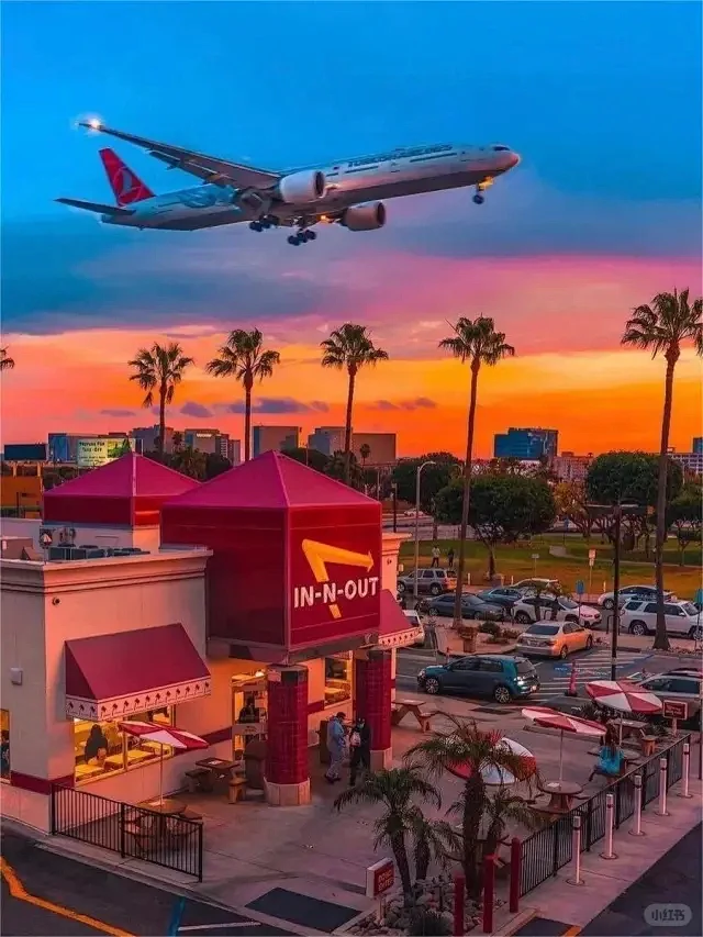 北美留学生 - 小红书搜索-花瓣网