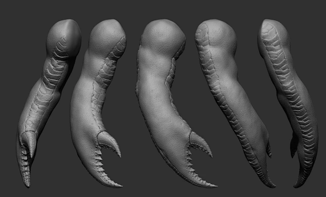 Creature arms图片_G-怪物-赏析图片素材-花瓣网