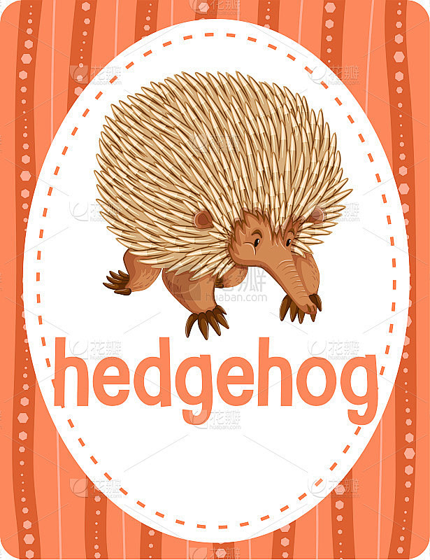 带有单词Hedgehog的词汇抽认卡