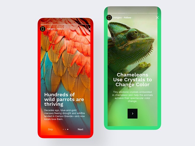 Mobile App - NatGeo Stories photo colorful mobile-ui user-interface cl