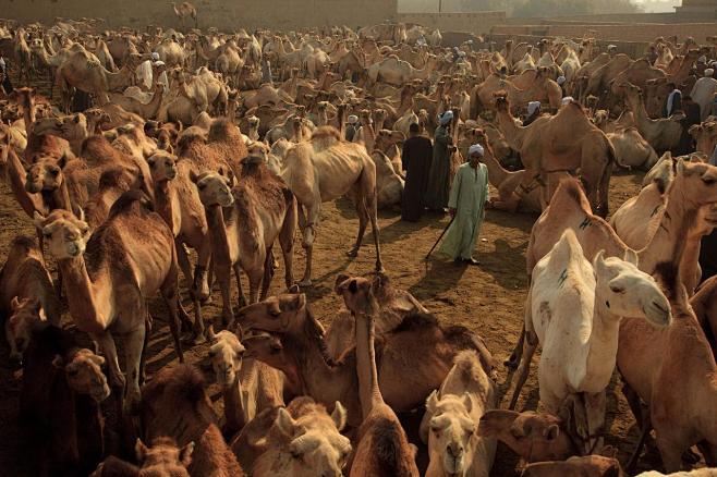 电影截图 构图 光影 多人 群