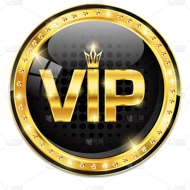 vip 图标