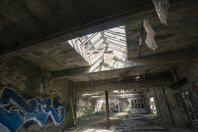 Overgrown Factory (293)