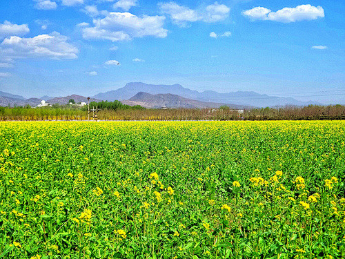 LOFTER - 记录生活，发现同好