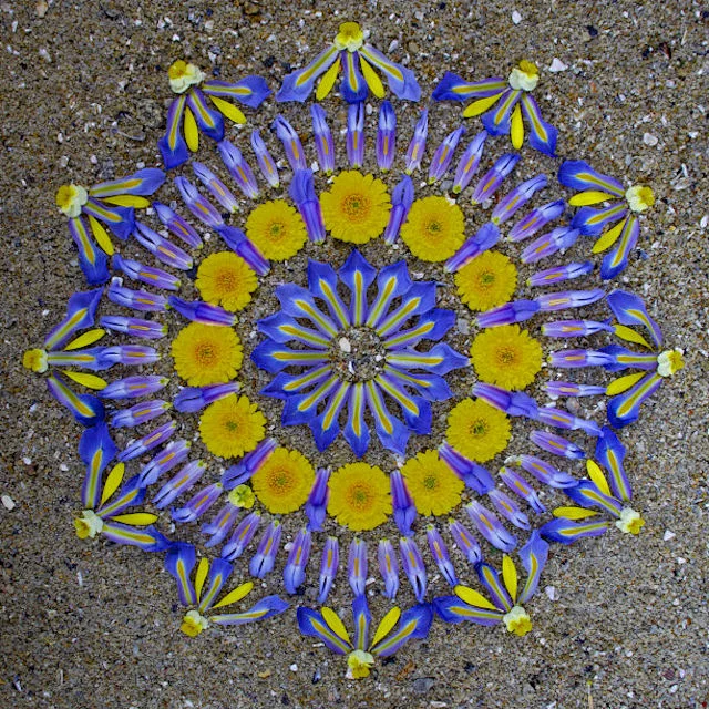 Kathy Klein 8-花瓣网