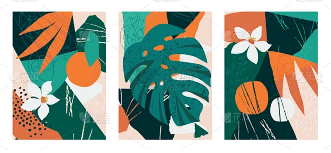 set collages contemporary floral modern exotic素材-花瓣网