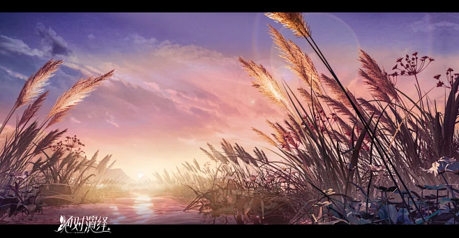 coco-yang-reed2-花瓣网