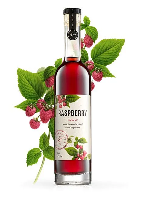 Pinlite-Pinterest中文极速版官网网站-花瓣网