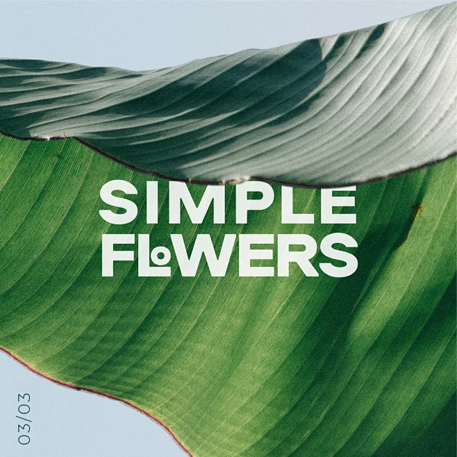Логотип Simple Flowers-花瓣网