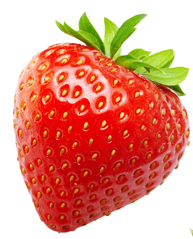 草莓png@北坤人素材-花瓣网