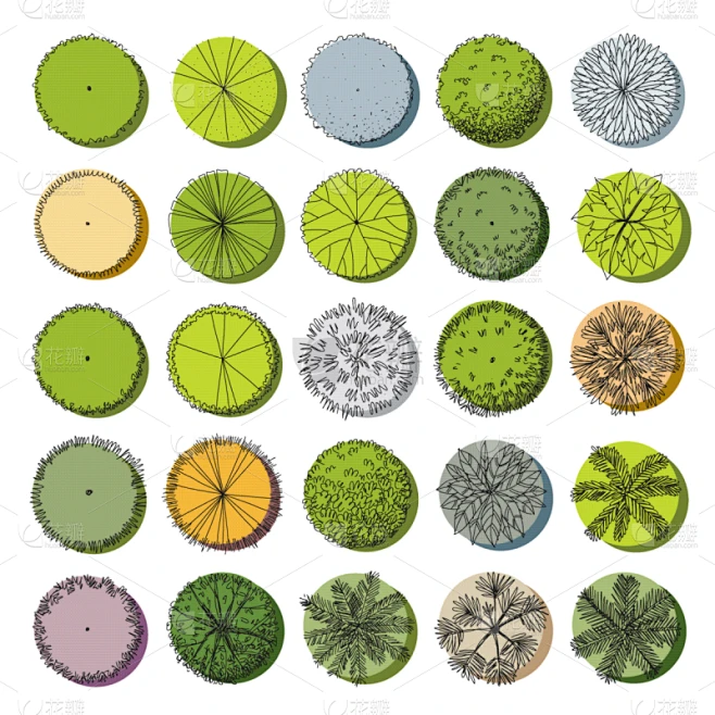 计划书,两只动物,景观设计,肖像,环境,泰国,树梢,户外,绘画插图,园艺-花瓣网