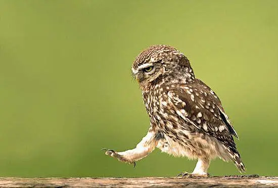 点击查看源网页-花瓣网