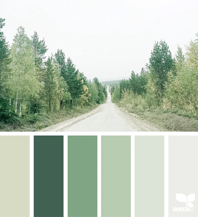 { color road }-花瓣网