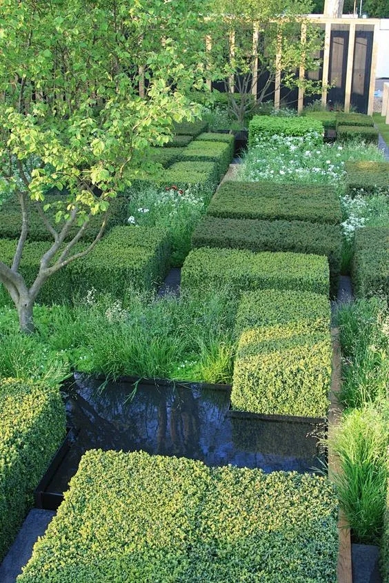 cubes and rectangles in a water garden-花瓣网