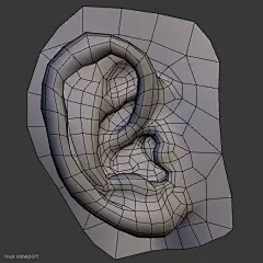 ear topology: -花瓣网