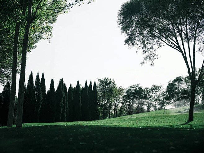 ins风风景ipad壁纸 #plog