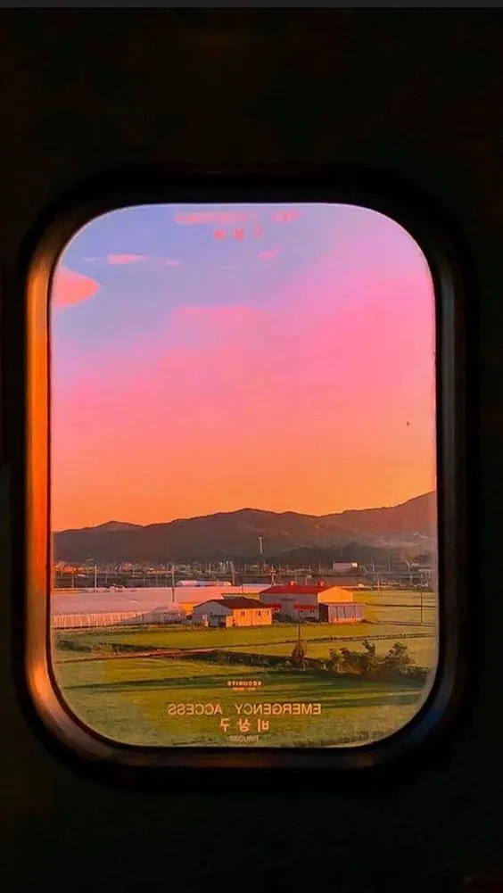 (39) Pinterest-花瓣网