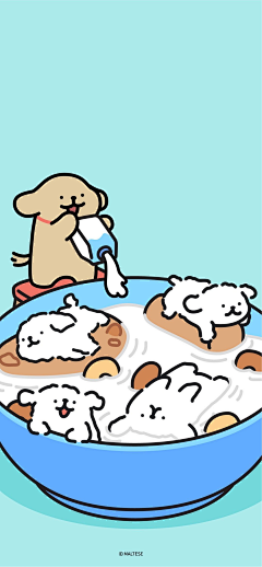 线条小狗-韩国画师moonlab_studio创作：马尔济斯小狗-花瓣网|陪你做生活的设计师 | 线条小狗表情. - 小红书