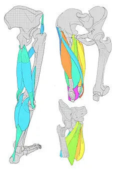 Random anatomy sketches 2 by *RV1994 on deviantART-花瓣网