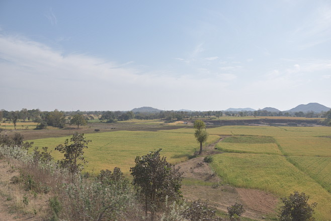 India_Countryside_103