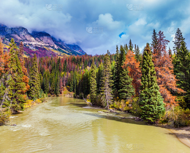 河流,森林,色彩鲜艳,九月,环境,加拿大,湖,加拿大落基山脉,户外,天空
