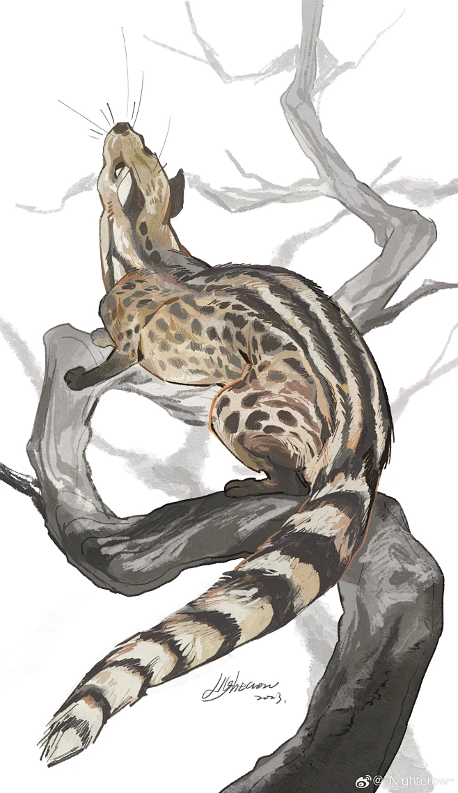 @-Nightcrow- 的个人主页 - 微博-花瓣网