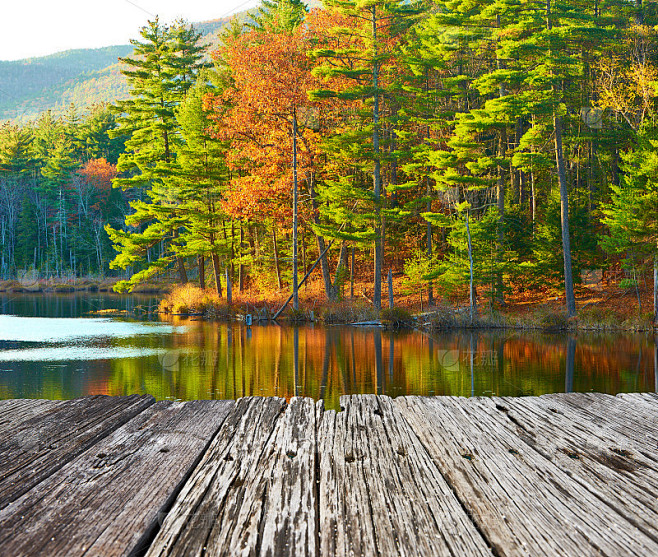 池塘在白山国家森林，新罕布什尔州