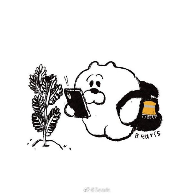 本周熊熊九宫格 #渣熊boocha#