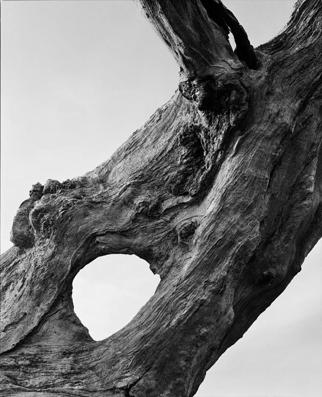 6x7 black and white daniel dytrych decay Film medium format Photography ...