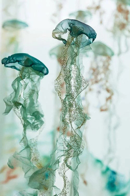 pc_680_webp.webp (34)