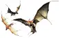 mhw-paolumu-花瓣网