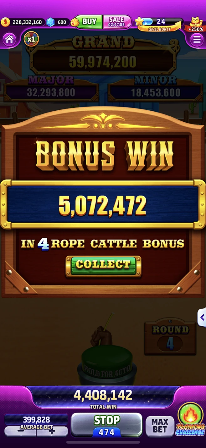 花瓣灵感详情页-花瓣网