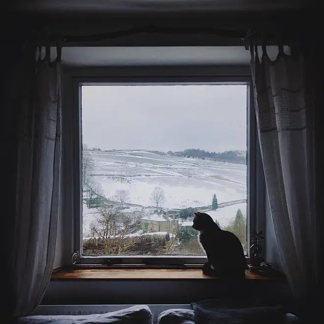 窗 | Sara Tasker -花瓣网