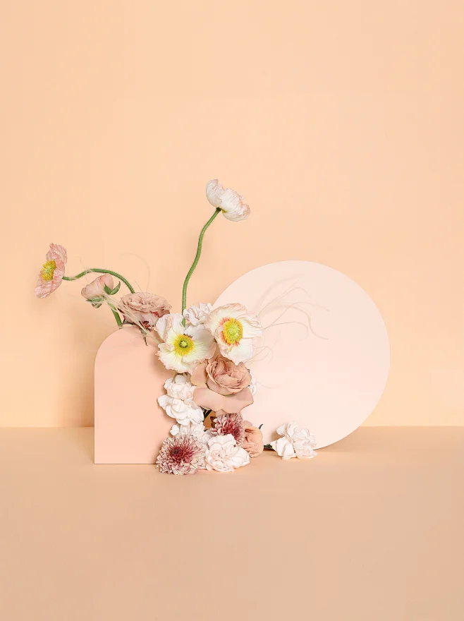 FLOWER FUN 7.jpg-花瓣网