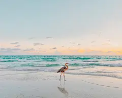 场景图图片大全-场景图高清好看的图片--花瓣XIONGHAIYAN的画板