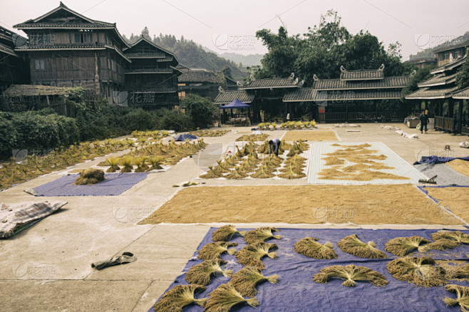 _4868031895_5756293238