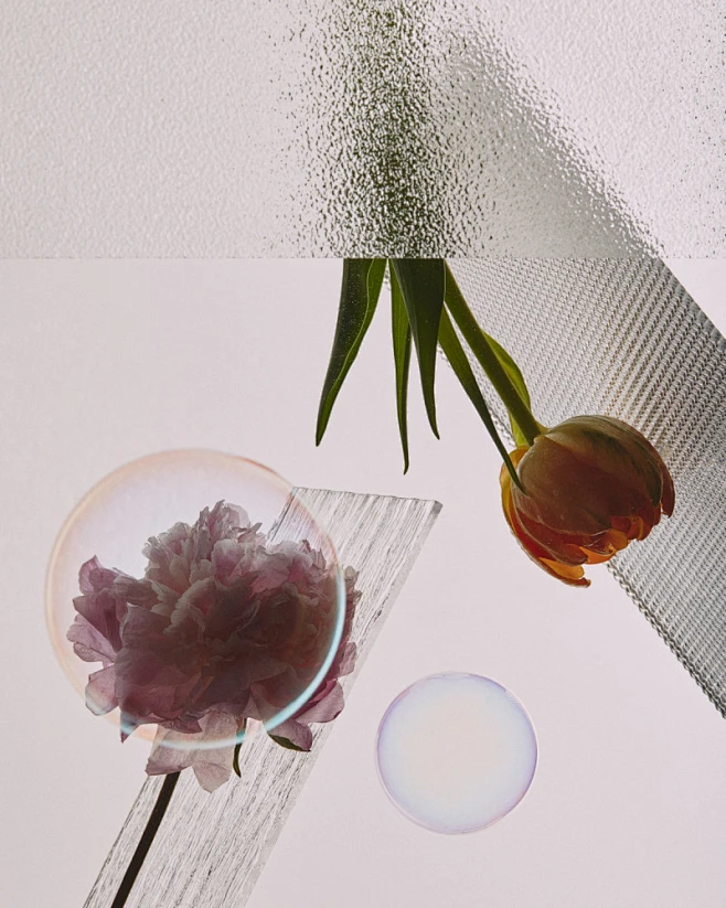 STEPHANIE GONOT PHOTO-花瓣网