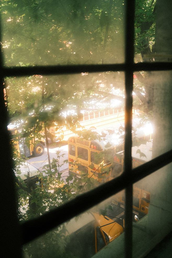 marissa-lewis-t63_-EHCY2o-unsplash