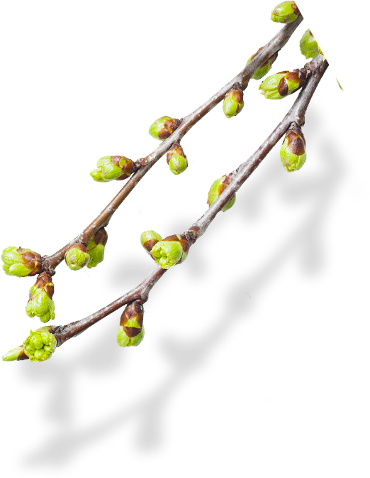 20210115-000850-f701