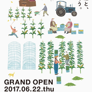 niage poster | STUDIO WONDER