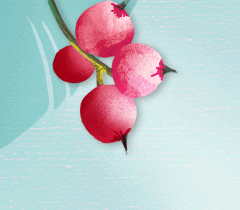 berry.gif-花瓣网
