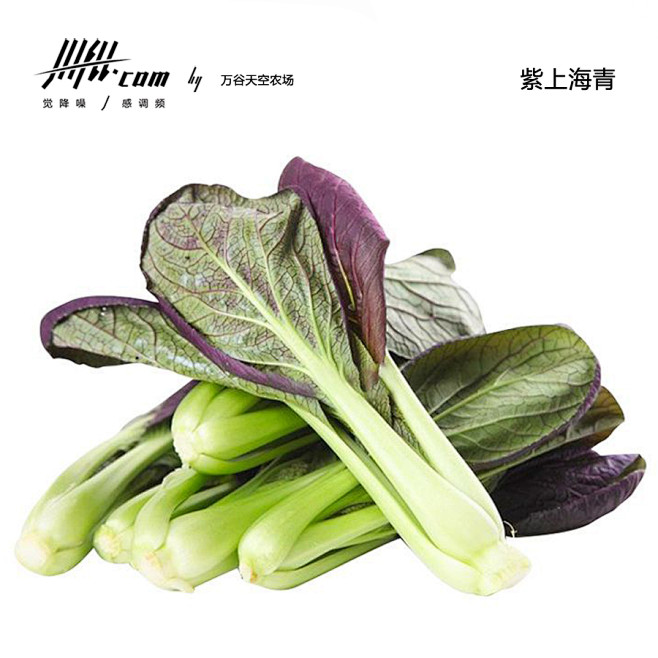 jiifll-2020-户外农场-天空农场-种植-农民-丰收-水果-蔬菜-生鲜-市场-超市-农业-新鲜-直送-快递-邻居-小区-生活-活动策划-绿色-有机-农作物-民宿-家庭-菜市场-餐桌 ...