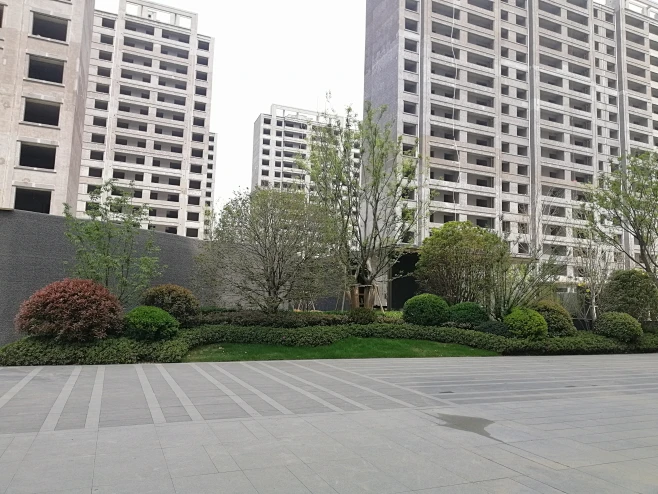 IMG_20230413_120609植物组团-花瓣网