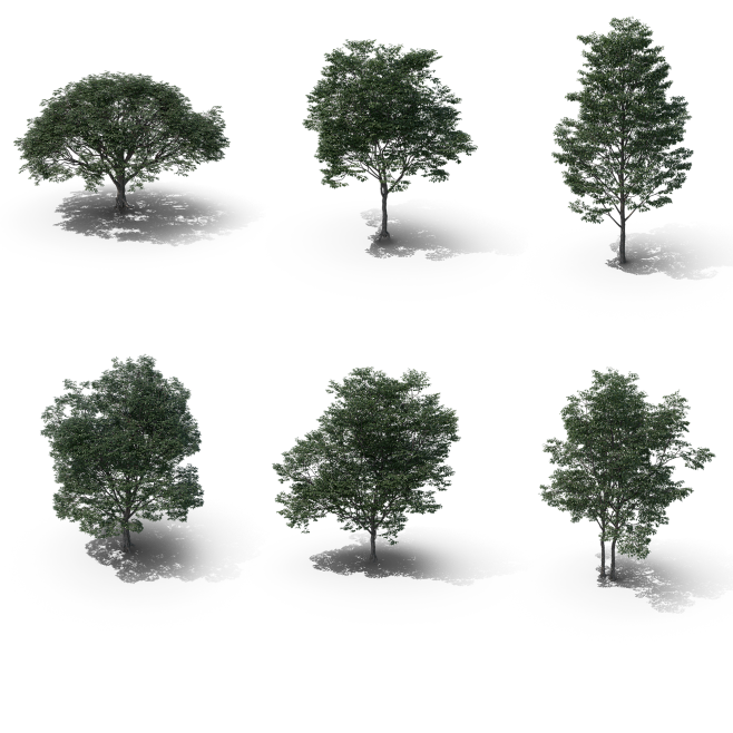 3d_tree_part_12
